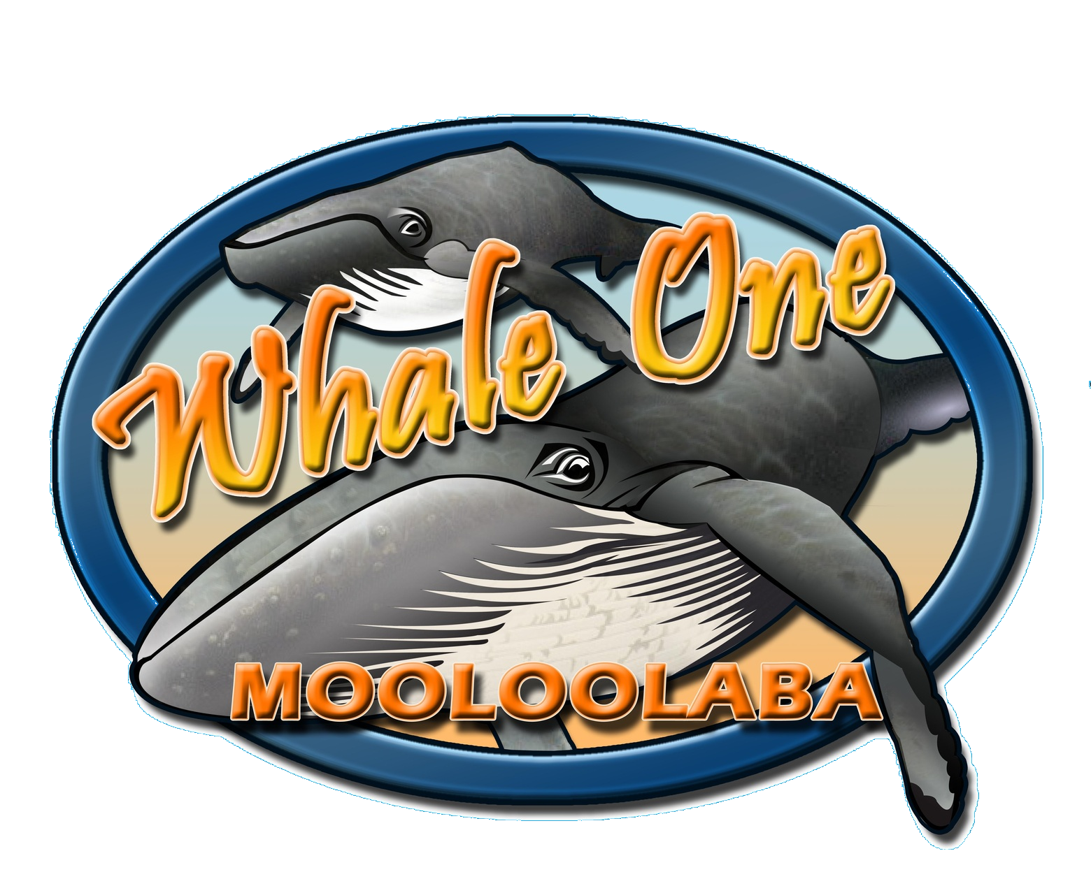 Whale One - The Booking Box